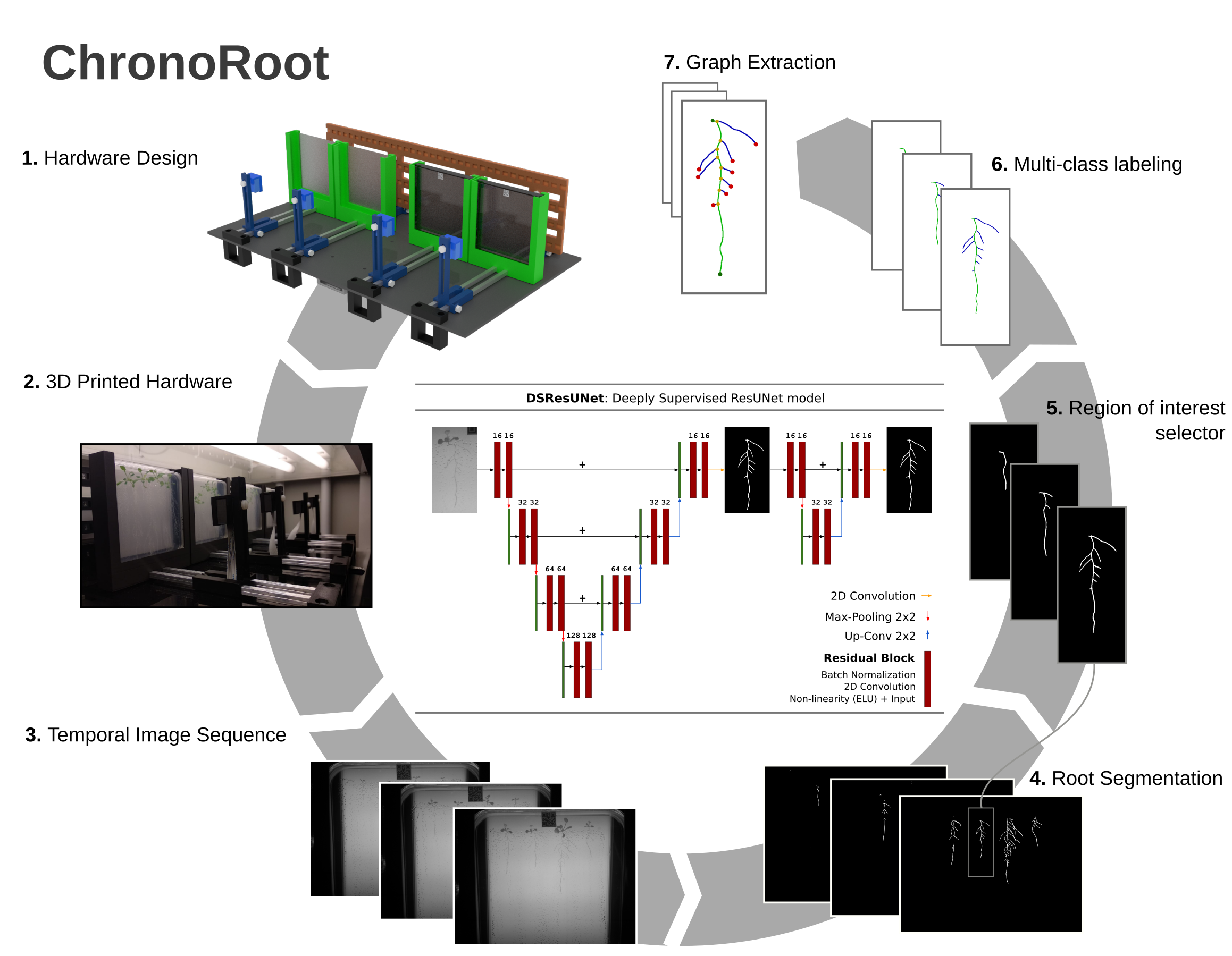 High-throughput phenotyping of plant root system architecture | Thomas ...